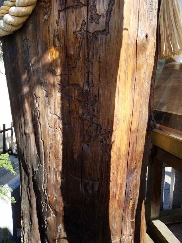 November Yokai Update | MatthewMeyer.net